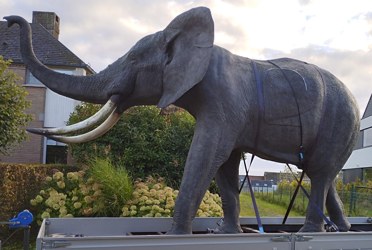 INTERVIEW KURT DEMEY | Jezus-EikJezus-Eik